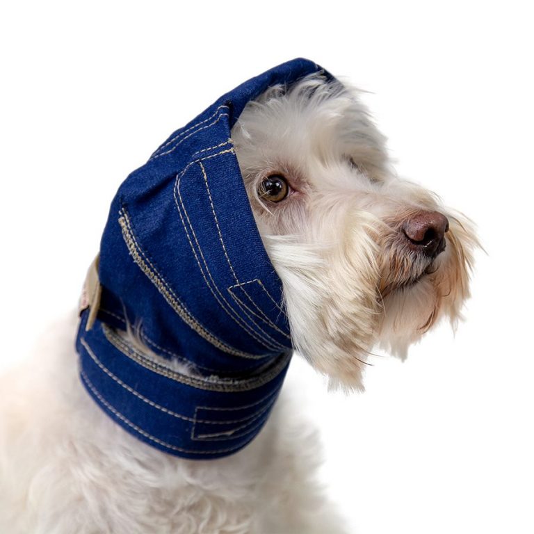 KONG No Flap Ear Wrap - The Vet Store