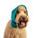 KVP Kong No Flap Ear Wrap - KONG - The Vet Store