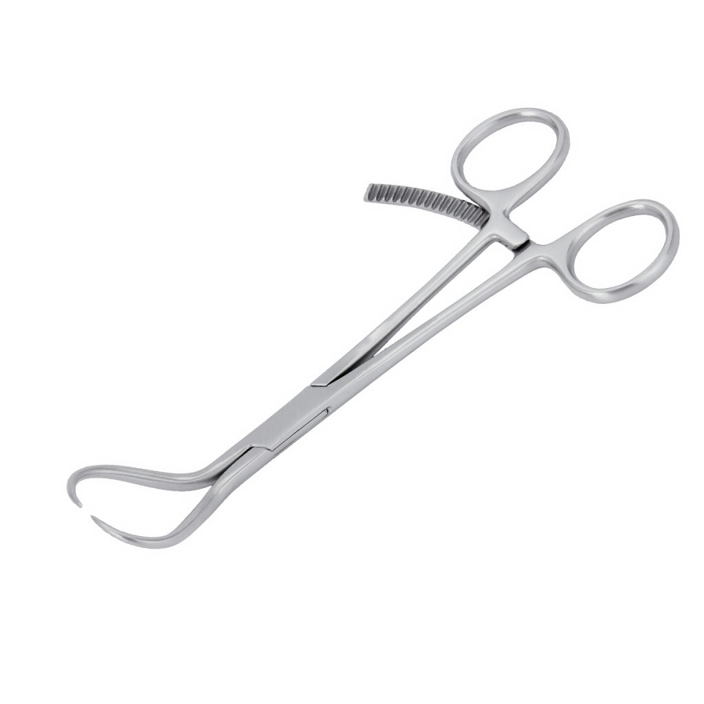 Fragment Forceps - The Vet Store - Surgical Instruments