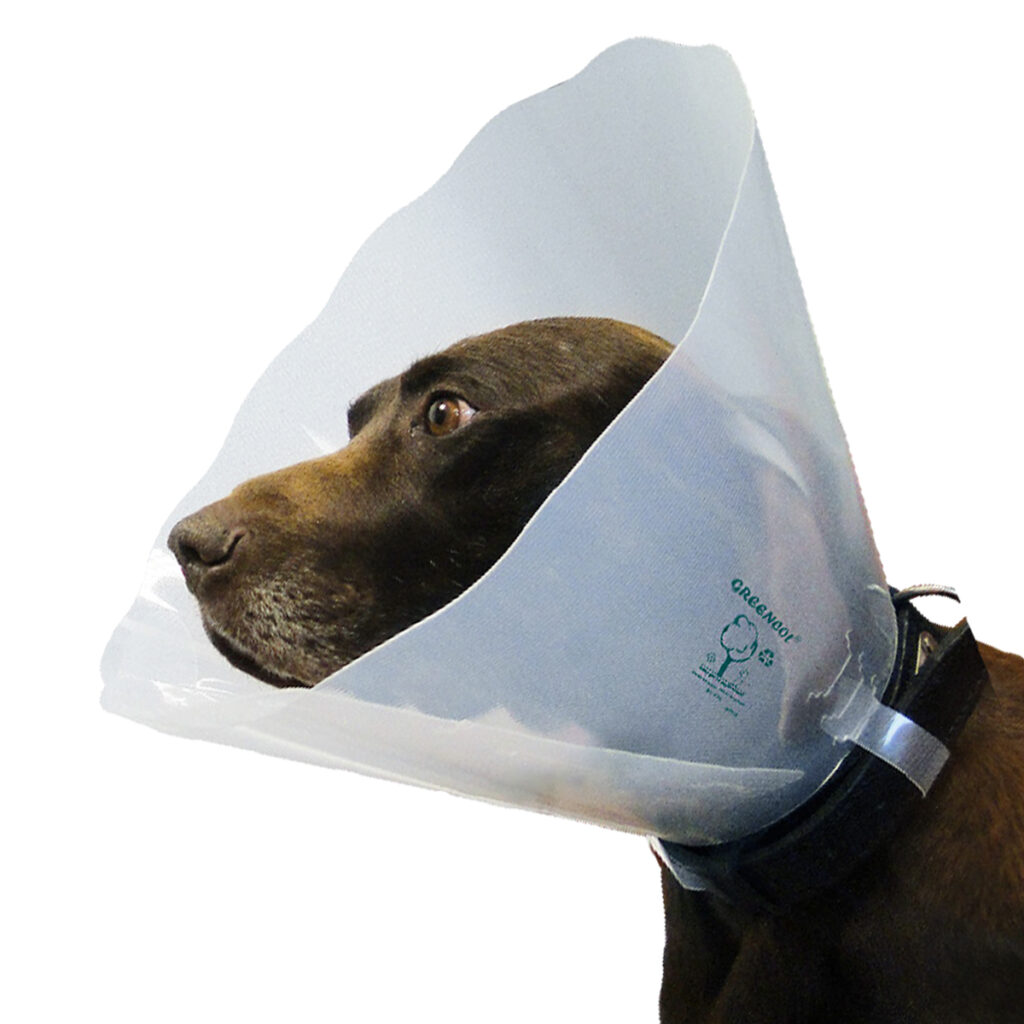 Greencol Ecofriendly Collar by Genia - The Vet Store - Recovery Collars
